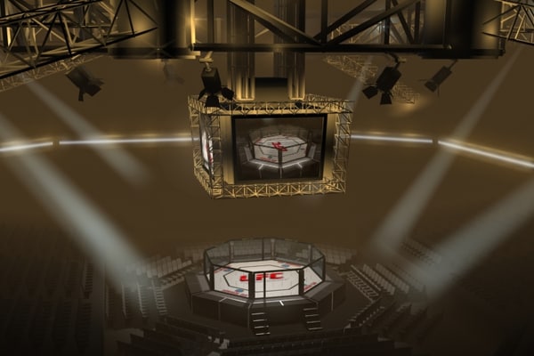 octagon arena ufc fighting 3d model