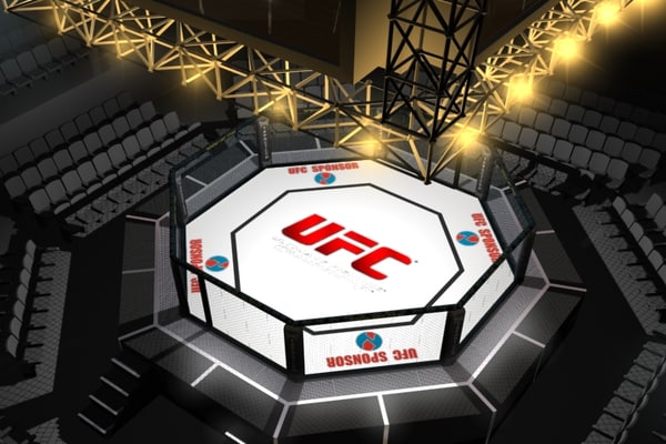 octagon arena ufc fighting 3d model