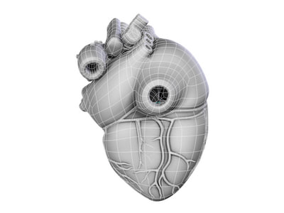 3d heart opened closed