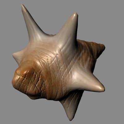 conch shell 3d obj