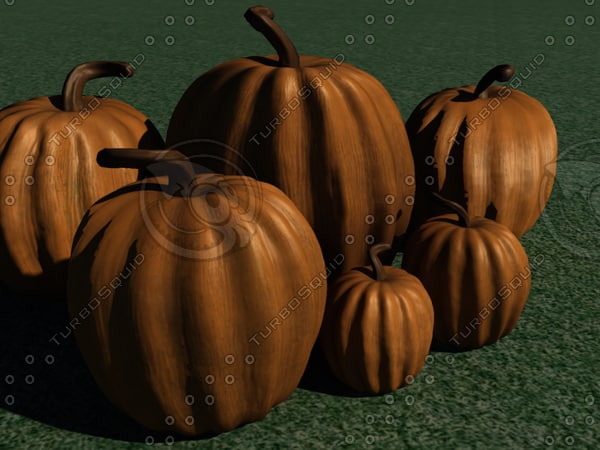 3d pumpkin thanksgiving november model
