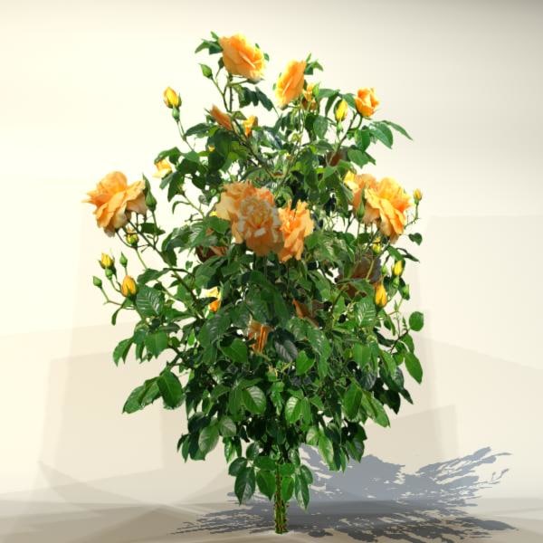 3ds max pc flower