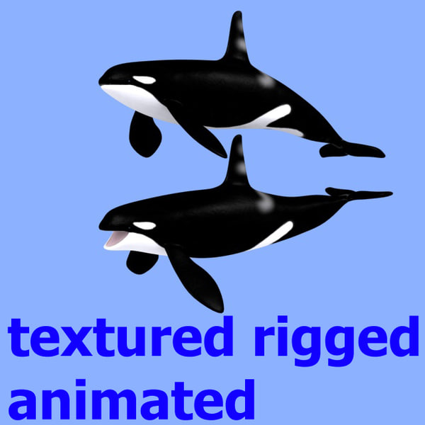 dolphin rigged caustics 3d max