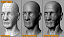 3d head old man polygons