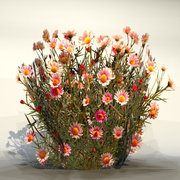pc flower 3d model