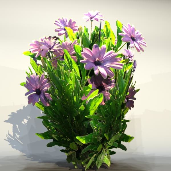 modelo 3d Flor 044 - TurboSquid 430910
