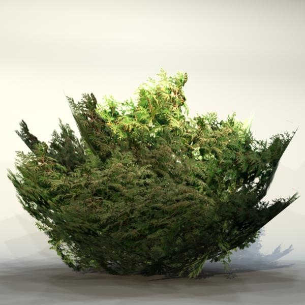 pc bush 3d max