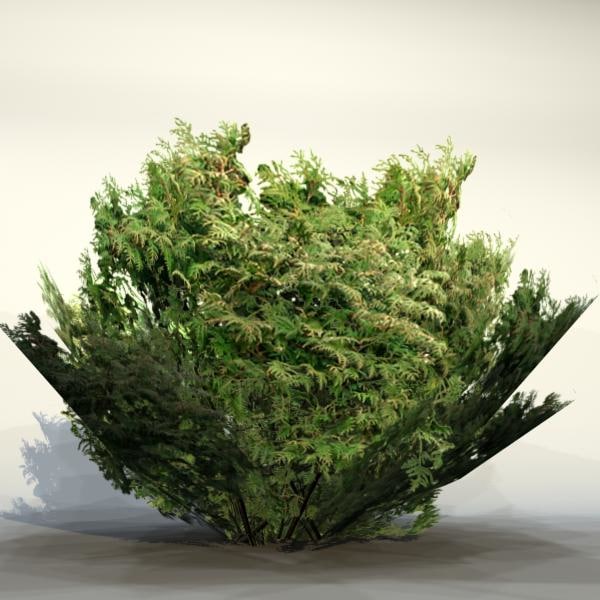 pc bush 3d max