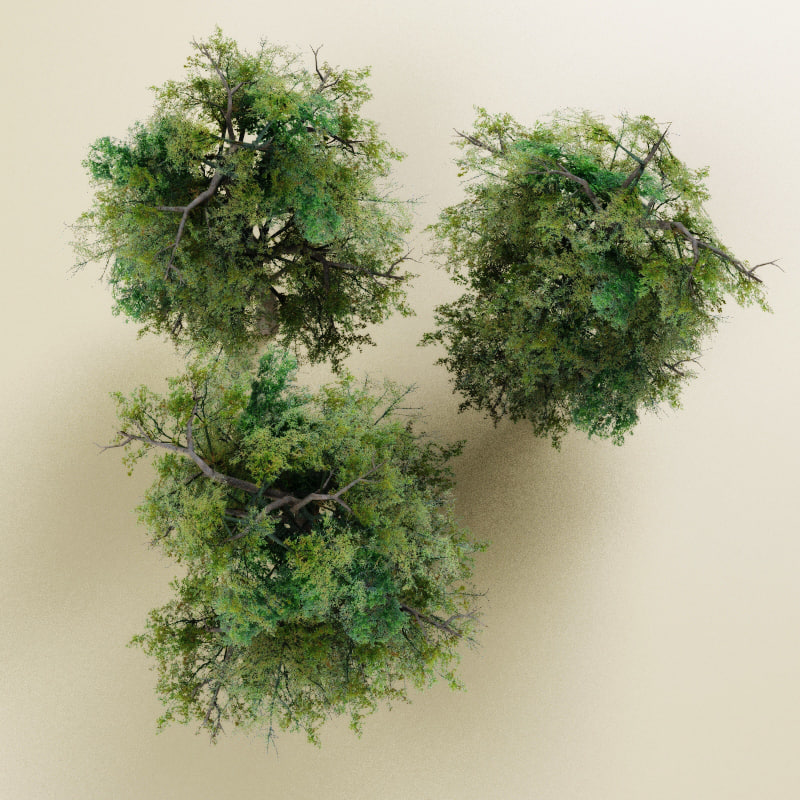 3ds max tree modelled