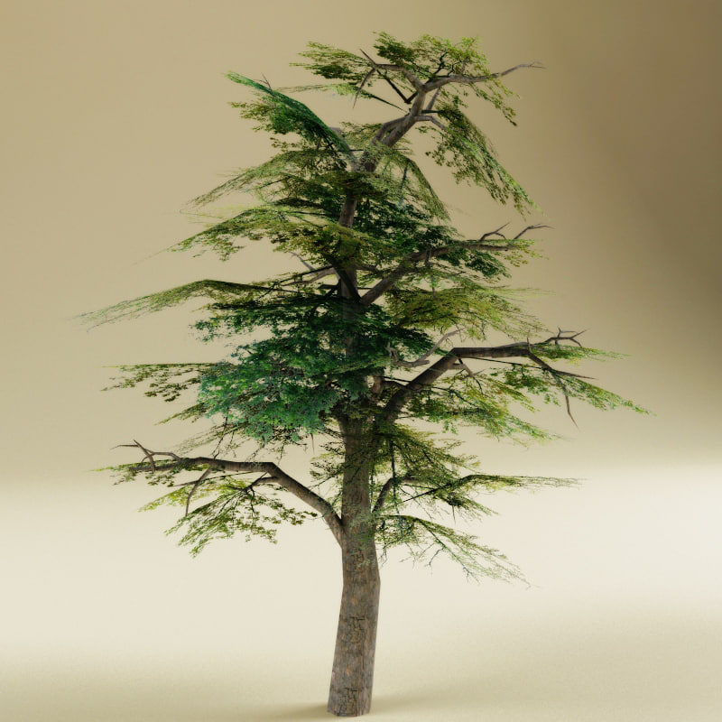 3ds max tree modelled