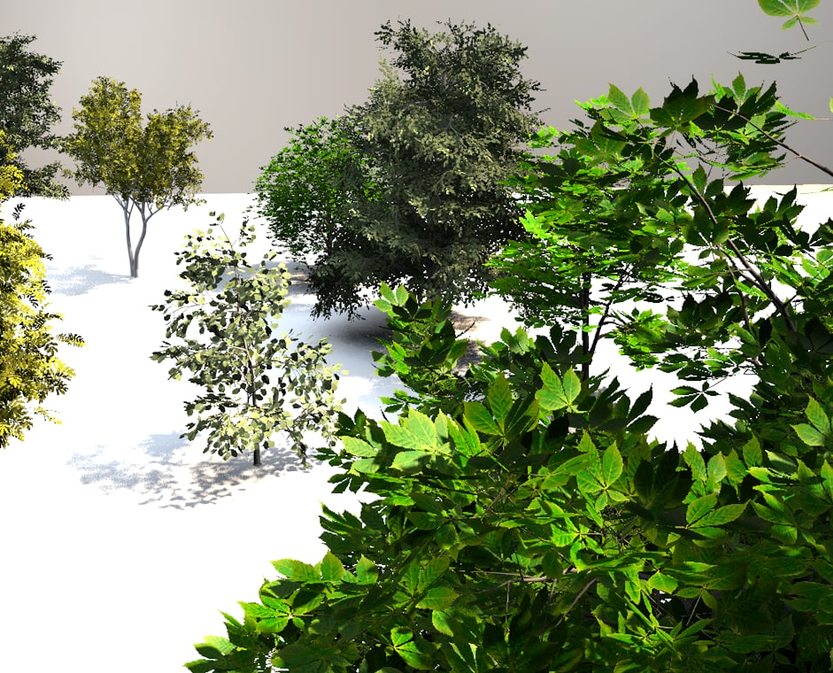 trees 3d c4d