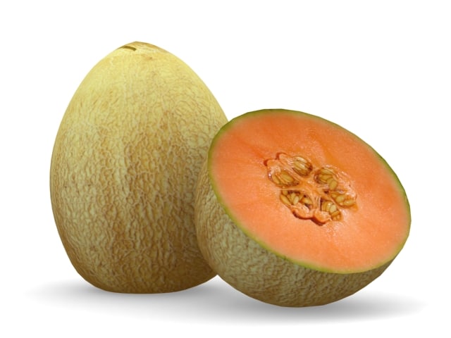 3d model melon
