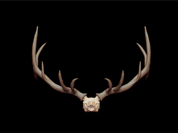 elk skull 3d obj