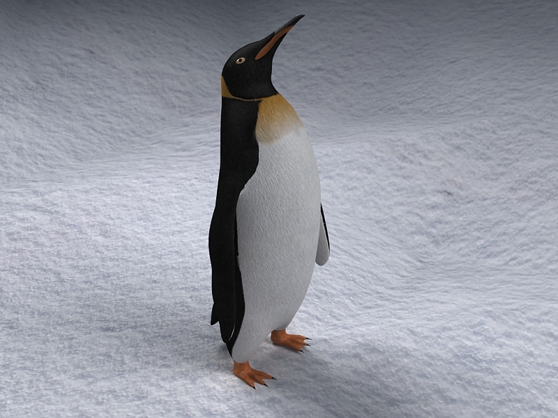 rigged penguin 3d model