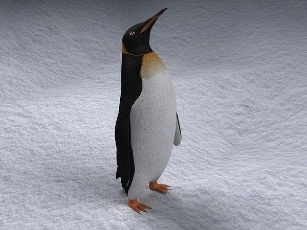 Penguin 3D Models for Download | TurboSquid