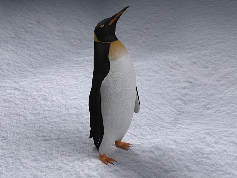 rigged penguin 3d model