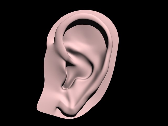 3d model human ear