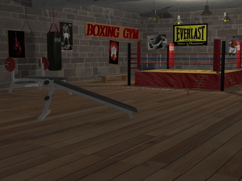 max boxing gym