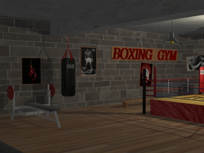 max boxing gym