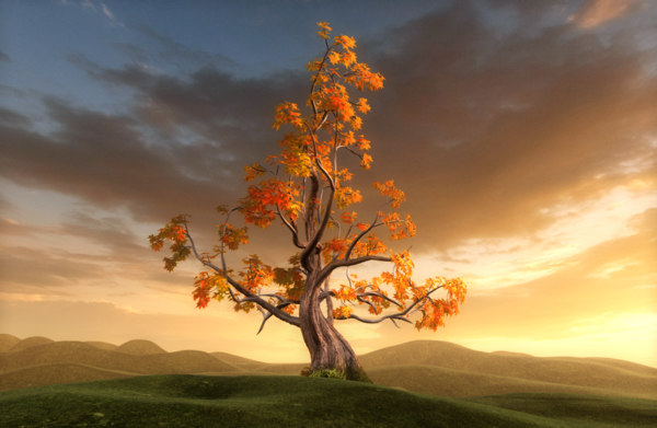 cinema4d fantastic tree