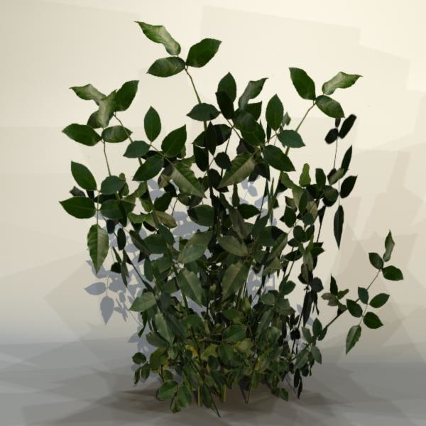 pc bush 3d max