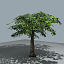 maya simple tree