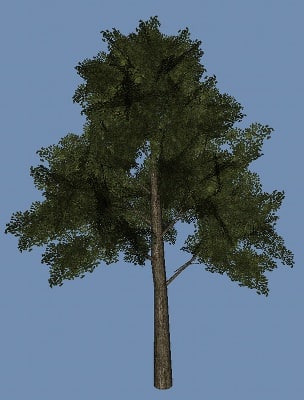 3d normal tree model