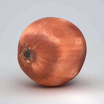 onion 3d model
