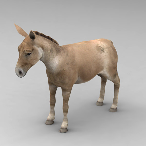 donkey 3d model