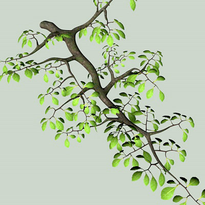 3d model tree branch