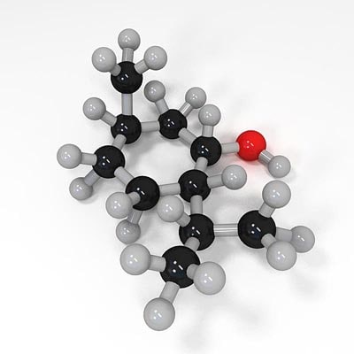 menthol molecule structure 3d obj