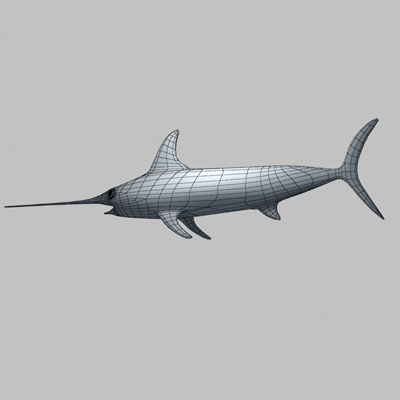 3d swordfish fish model