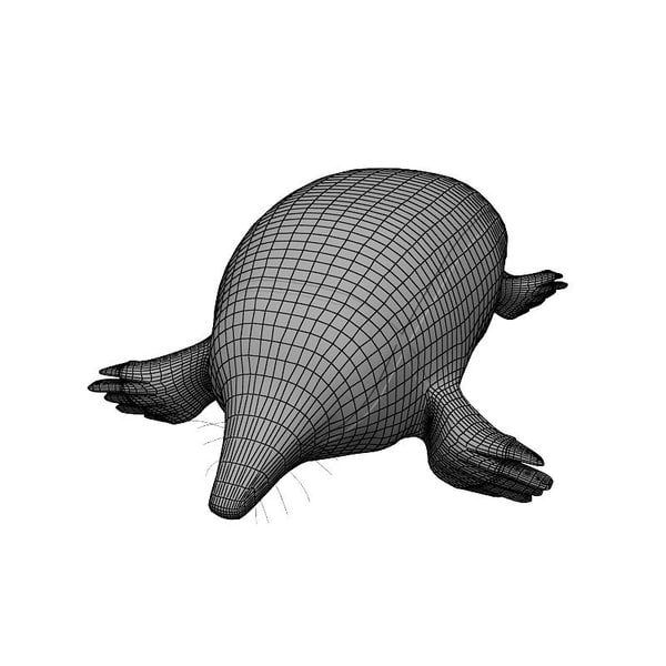3d mole animals mammal