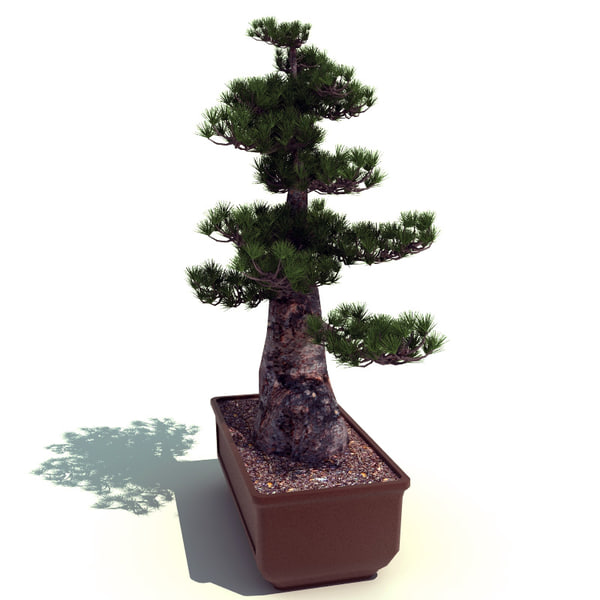 3d bonsai tree