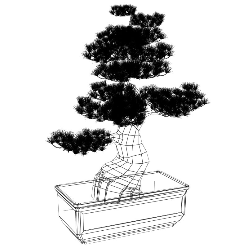 3d bonsai tree