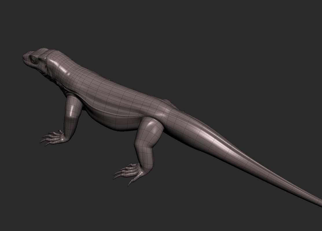 komodo dragon 3d model