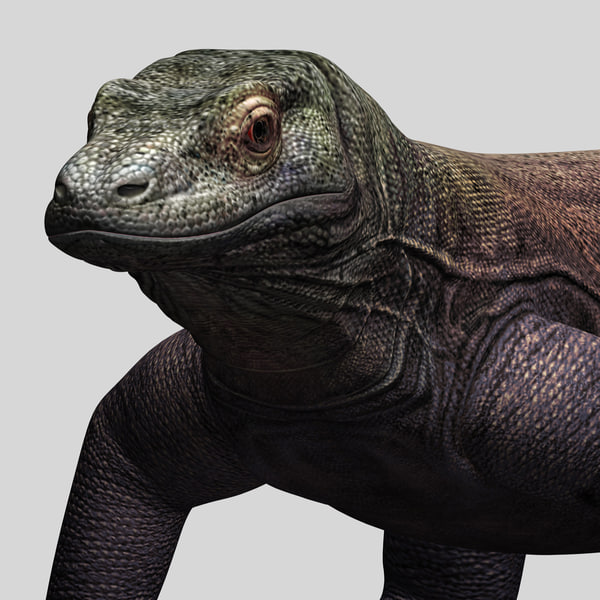 photorealistic komodo dragon 3d model