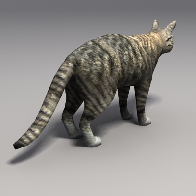 3d cat model