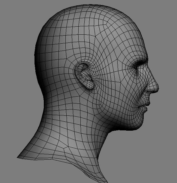 3d base mesh human head model