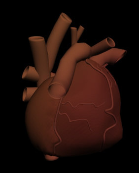 Free 3D Heart Models | TurboSquid