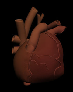 Free 3D Heart Models | TurboSquid