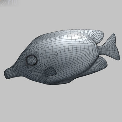 3d model rabbitfish fish