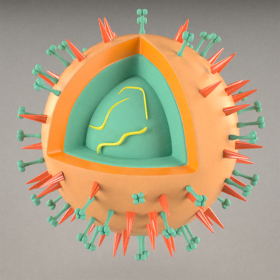 3d model flu virus