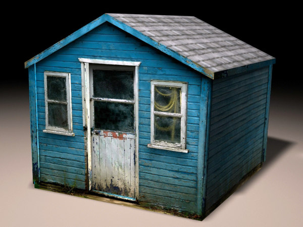 3d realistic shack