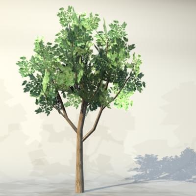 pc tree 3d model