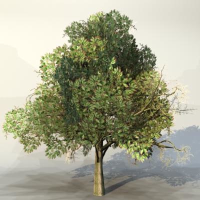 3d model pc tree