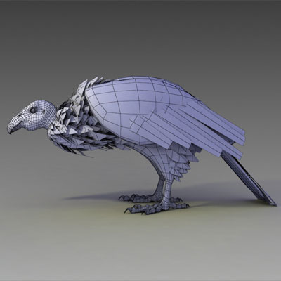 3ds max california condor bird