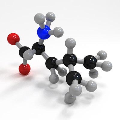 leucine molecule 3d model