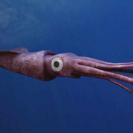 3D Squid Models | TurboSquid
