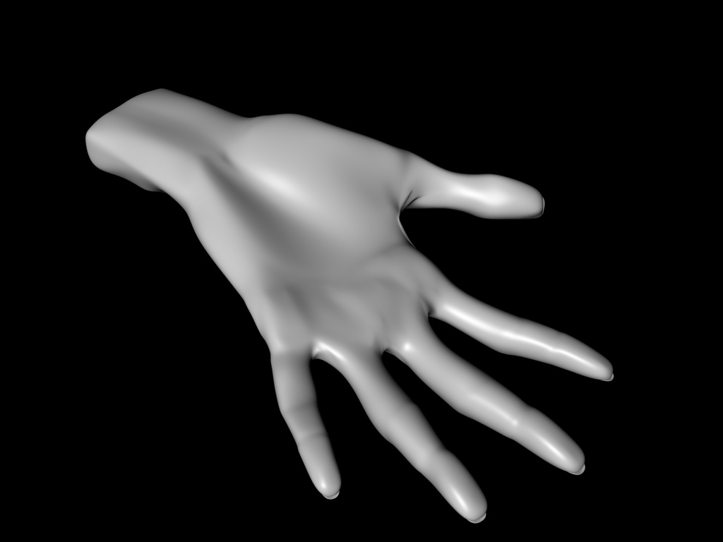 인간의 손 3D 모델 - TurboSquid 456806